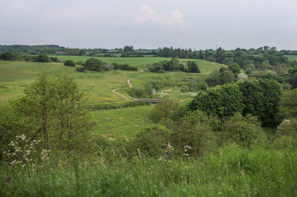 Ferup Sø udsigtspunkt - Oplev Kolding