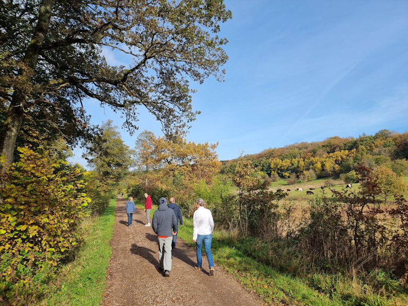 Troldhedestien - Oplev Kolding