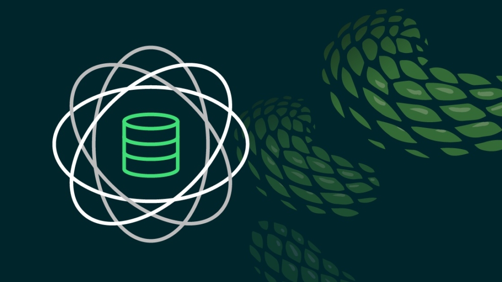 Why Data Scientists Love Python