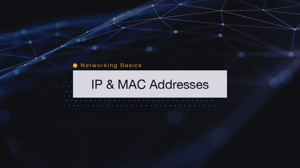 Networking Basics: How IP and MAC Addresses Work