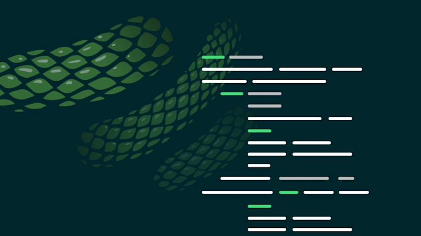 Python is the First Language You Should Learn