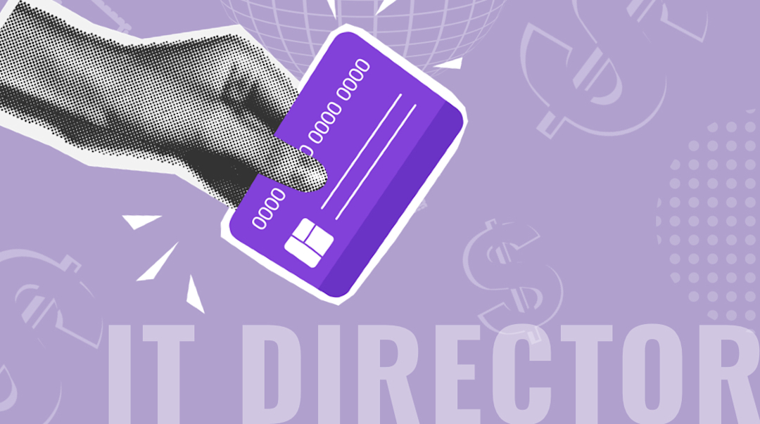 33 Honest IT Director Salaries