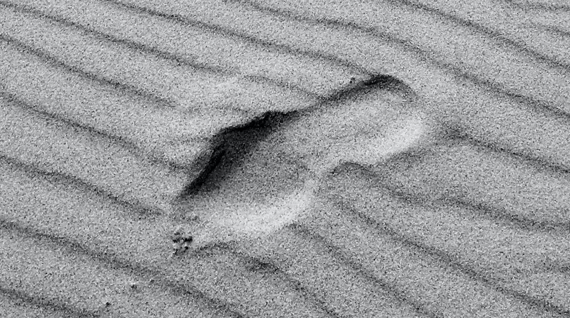 3 Ways to Minimize Your Host OS Footprint: From the System Hardening Domain