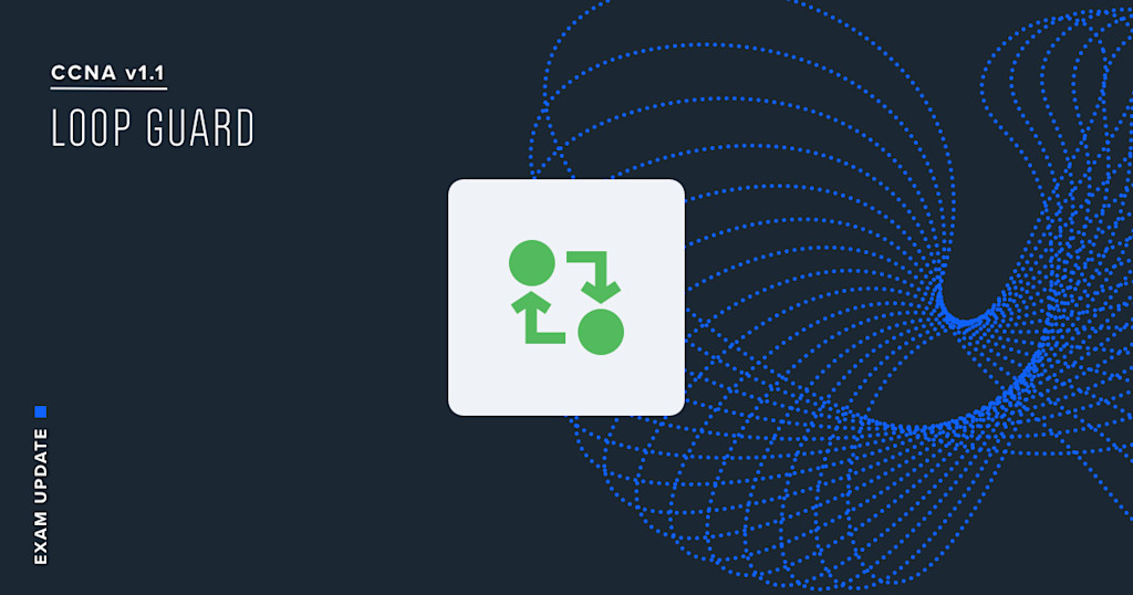 What is a Loop Guard?