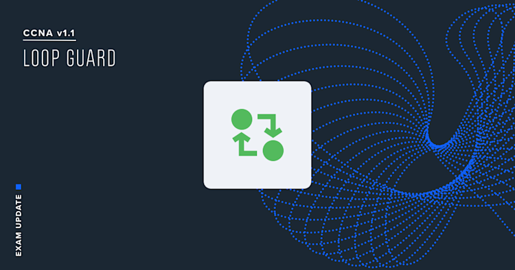 What is a Loop Guard?