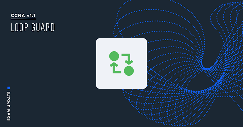 What is a Loop Guard?