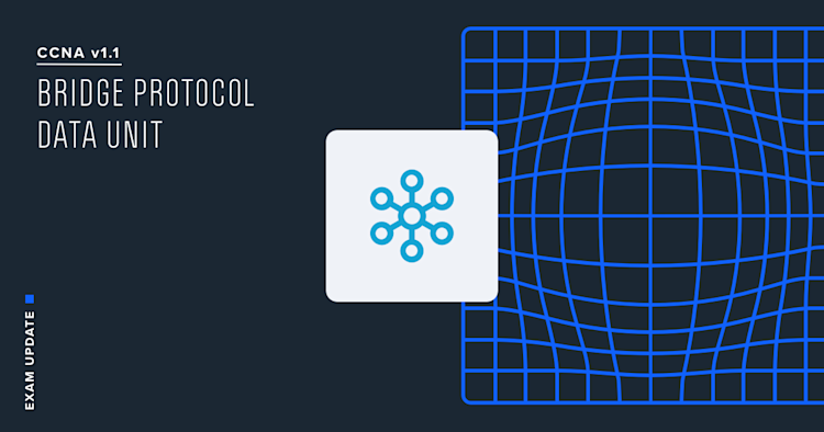 What is a BPDU Filter?