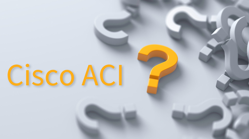 Cisco ACI or Build Your Own? The Pros and Cons of SDN Solutions