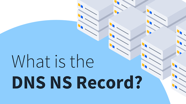What is an NS Record in DNS?