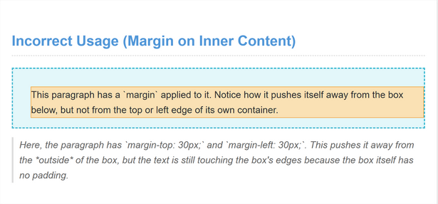 Beginner’s Guide to Margin vs Padding in Web Design | Zero To Mastery