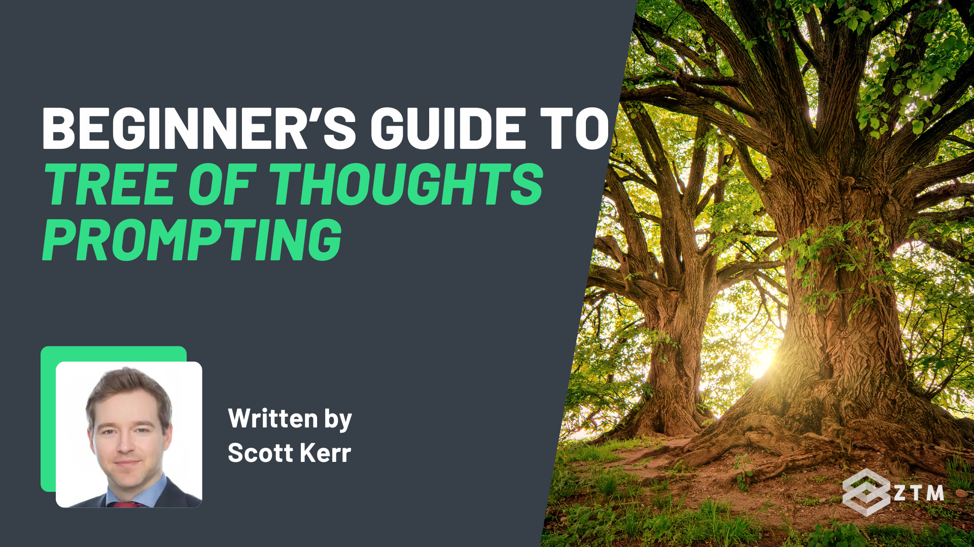 Beginner's Guide To Tree Of Thoughts Prompting (With Examples) | Zero To Mastery