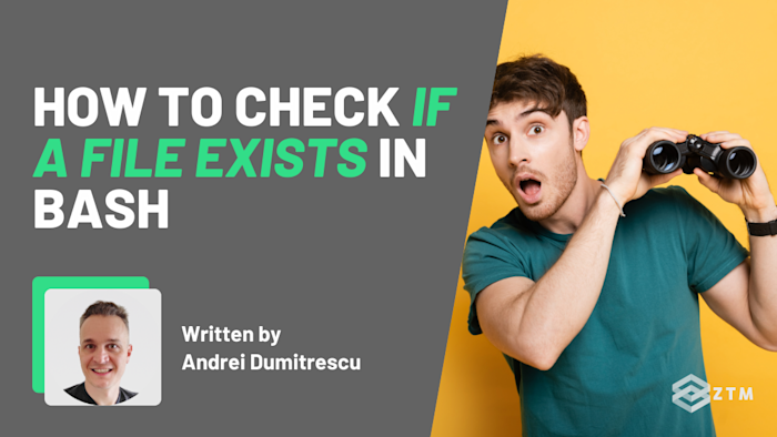 How To Check If A File Exists In Bash With Code Examples Zero To Mastery