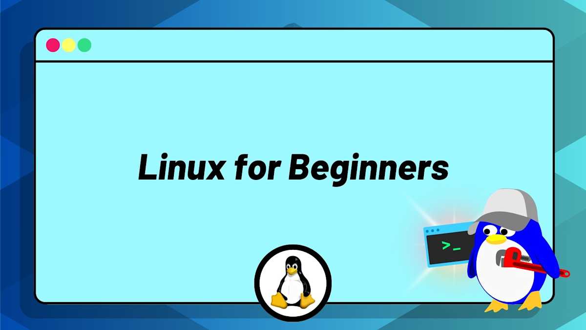 Bash Scripting Learn Shell Scripting Zero To Mastery