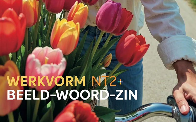 Kennis en Inspiratie: NT2 (Werkvormen)