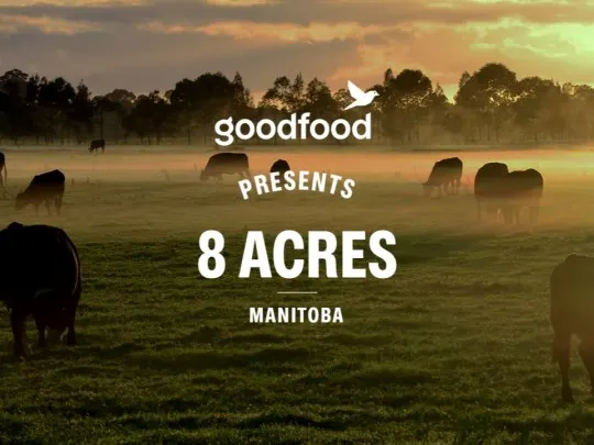 Stories that spark joy | Goodfood Market