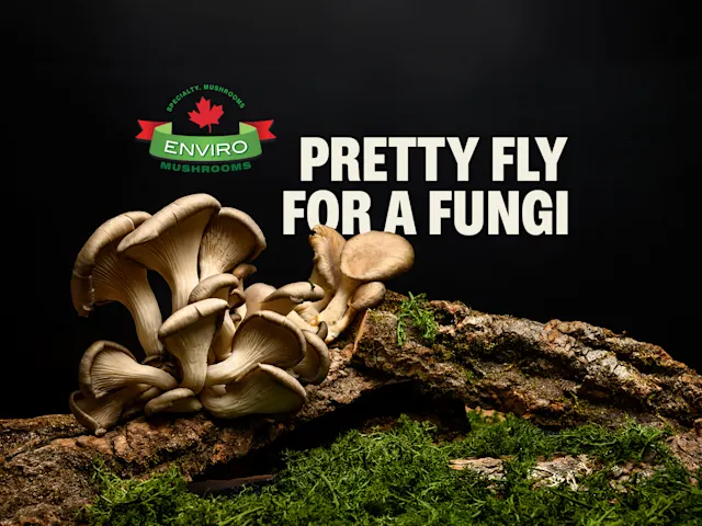Goodfood Presents Enviro Mushroom: Organic Specialty Mushroom Farm