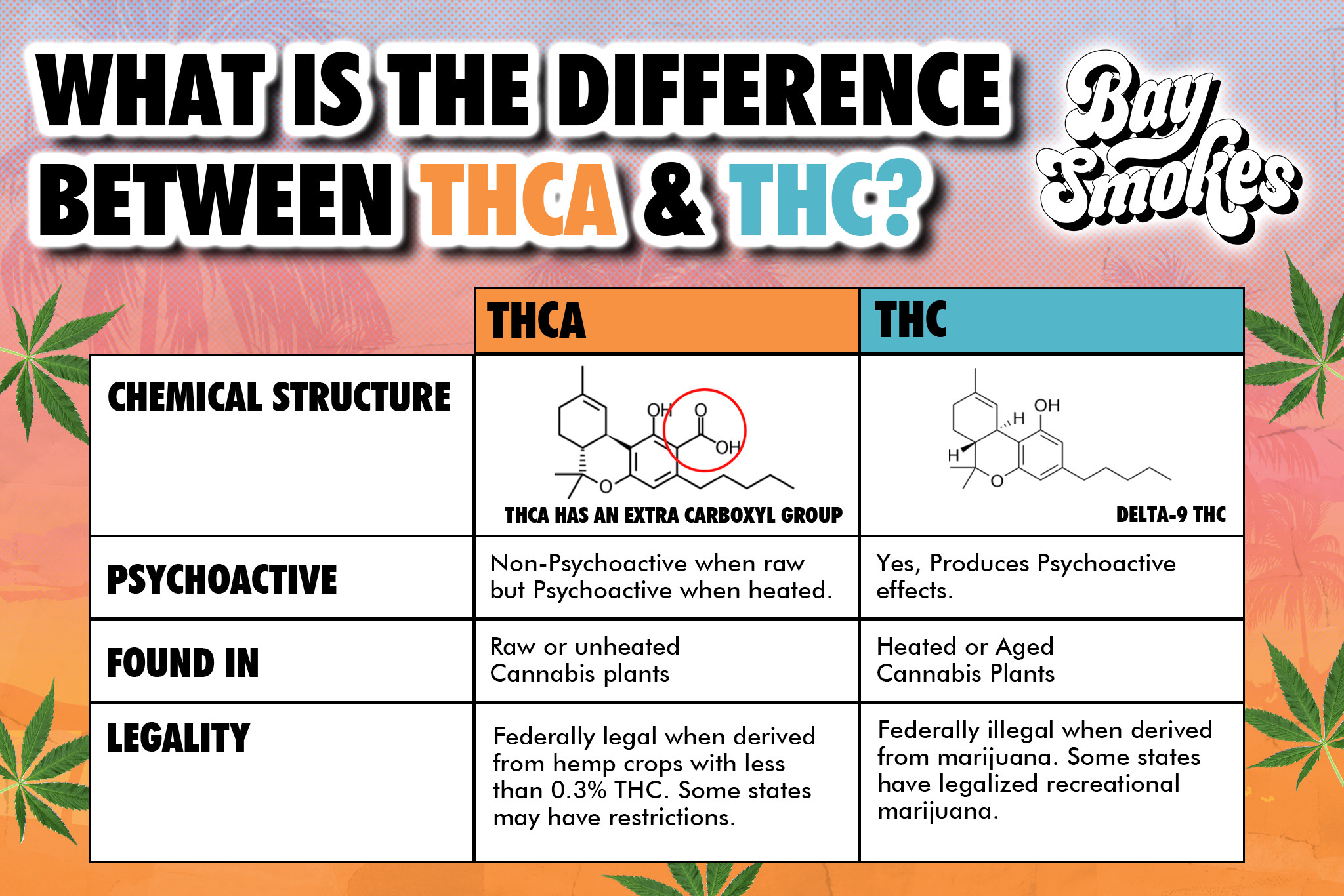 THCA vs THC? What’s The Difference?
