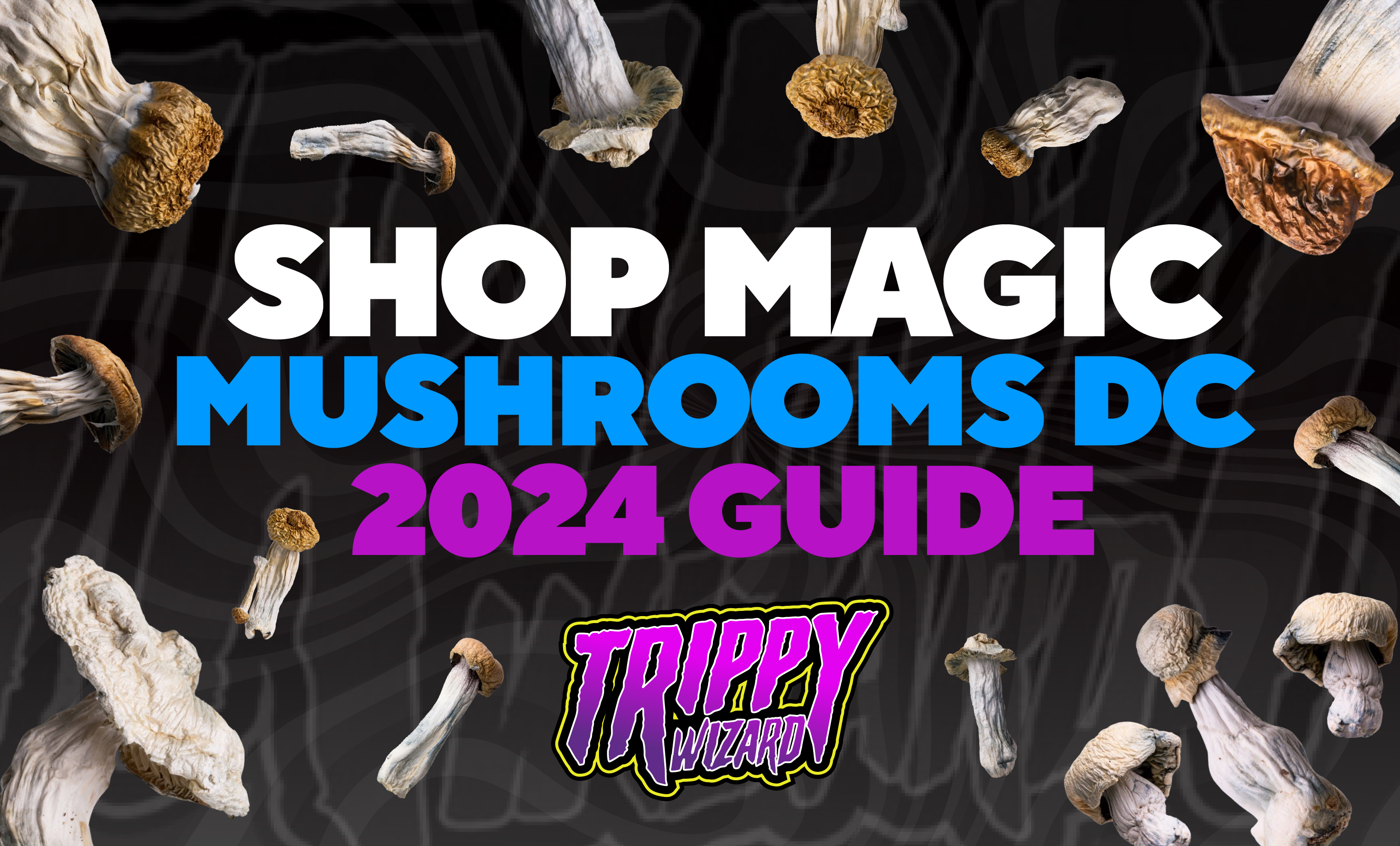 Magic Mushrooms | Trippy Wizard Weed Dispensary DC
