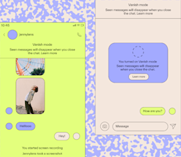 Does Instagram Notify Screenshots Of Stories Or Posts Later