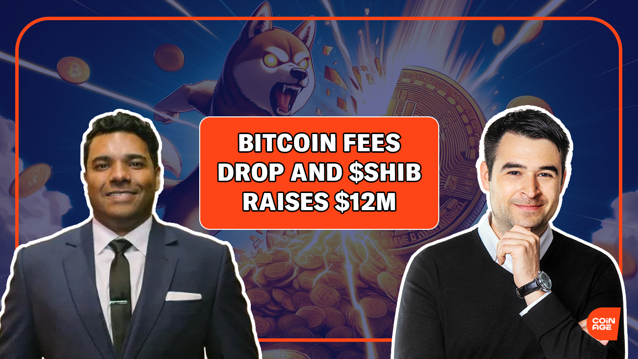 Bitcoin Fees Spike And Crash Around ‘The Halving’ And Shiba Inu Raises $12M