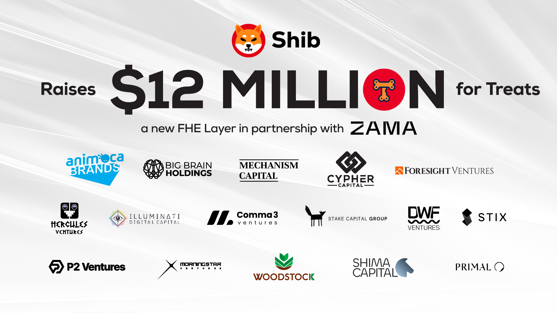 Shiba Inu Dev Explains What A New $12 Million Funding Round Unlocks