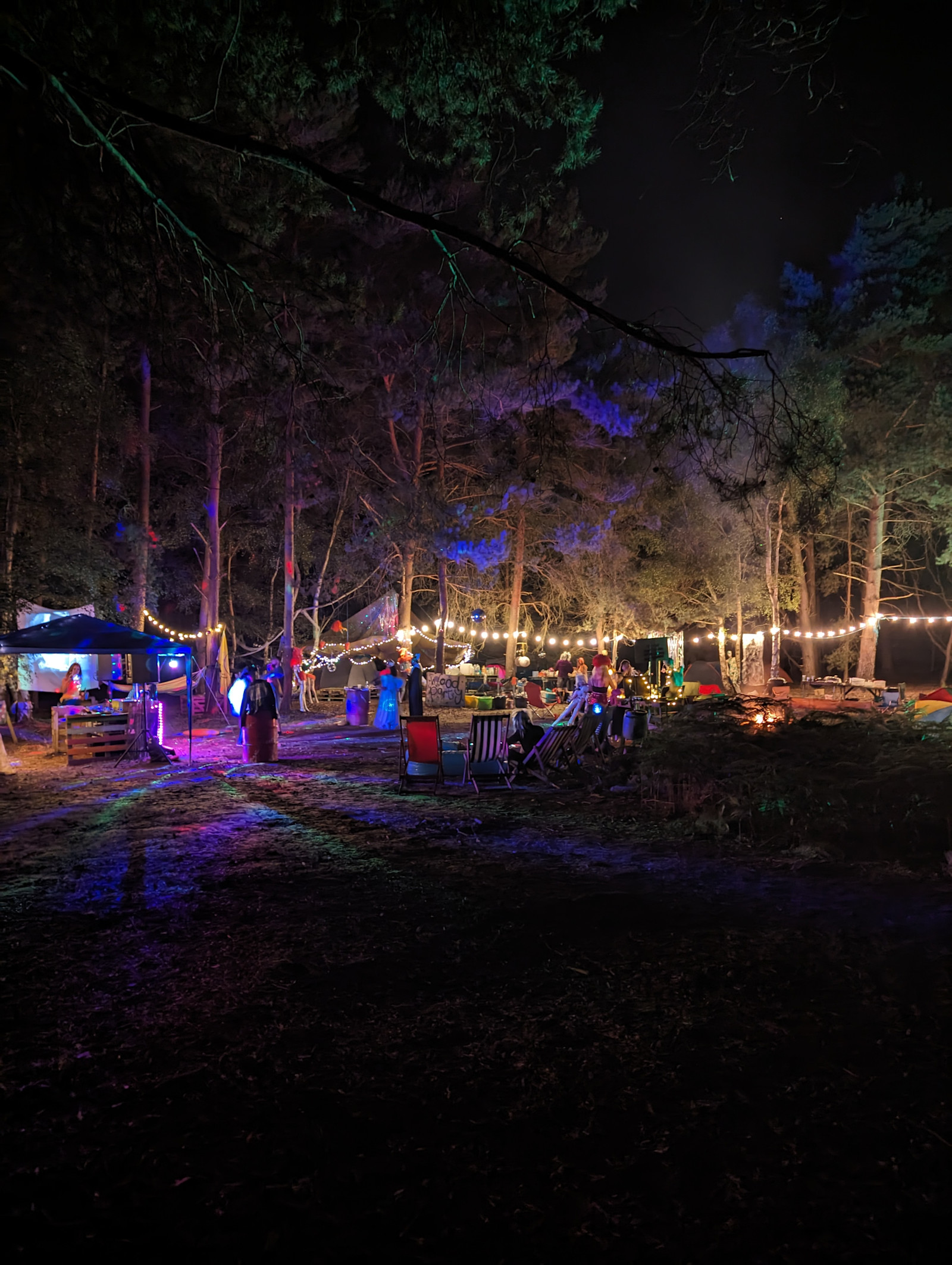 A Labyrinth themed wood rave | Playface