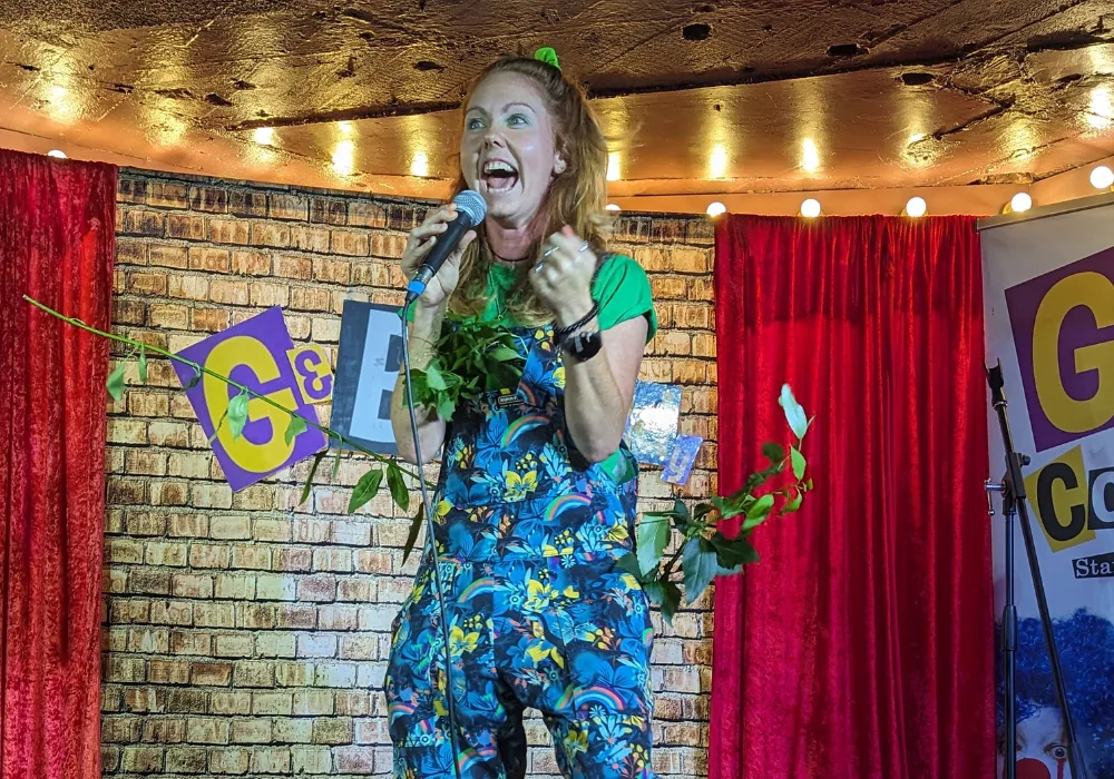 10 Stand Up Gigs: Reasons For A Good Or Bad Gig | Playface