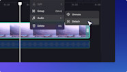 Remove Audio From Video Free Online Video Editor