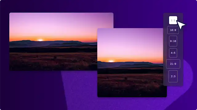 Online video resizer | Easily change video aspect ratios