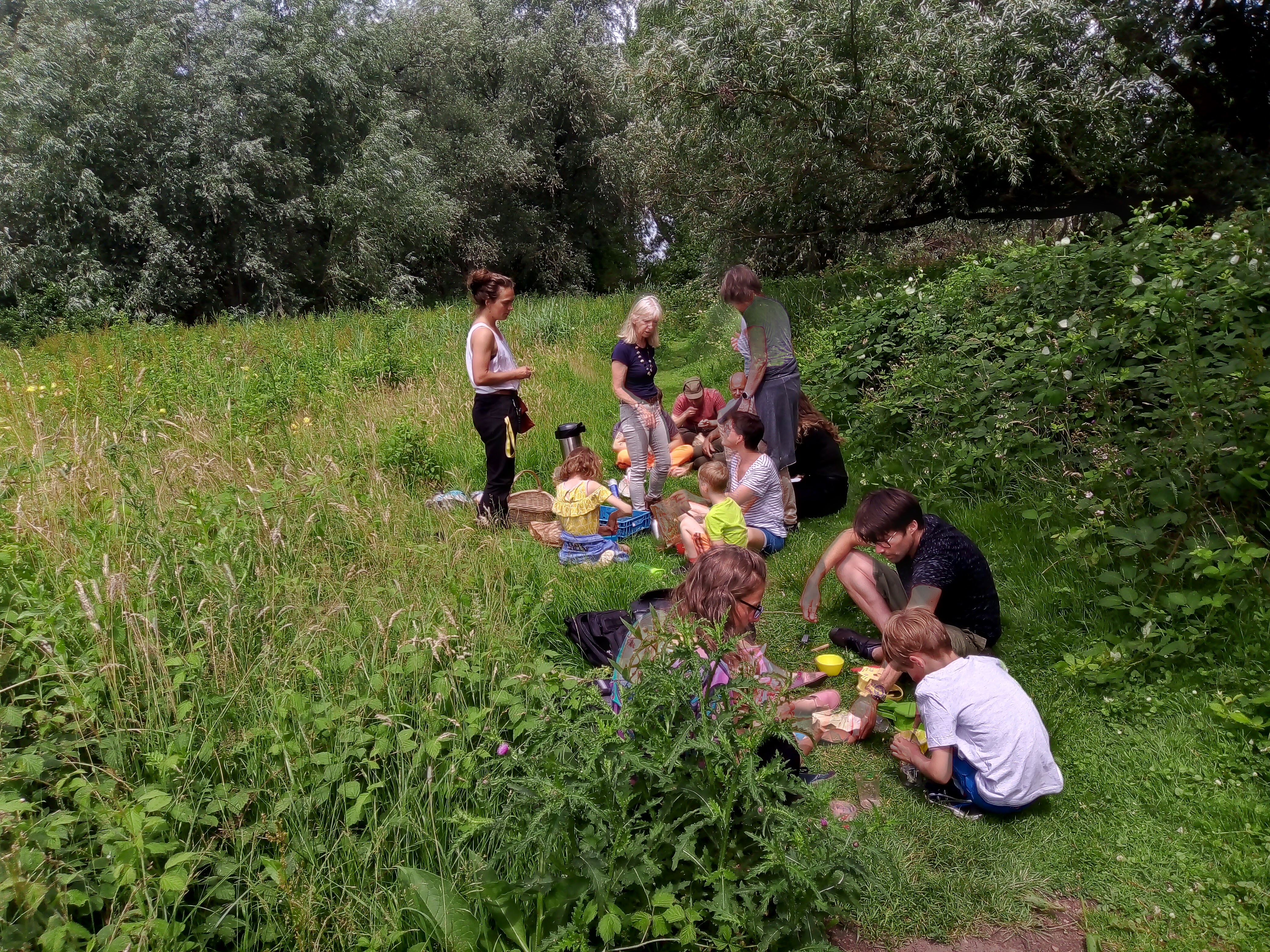 Wildplukken in de natuur en in cultuurlandschap | Blog van ...