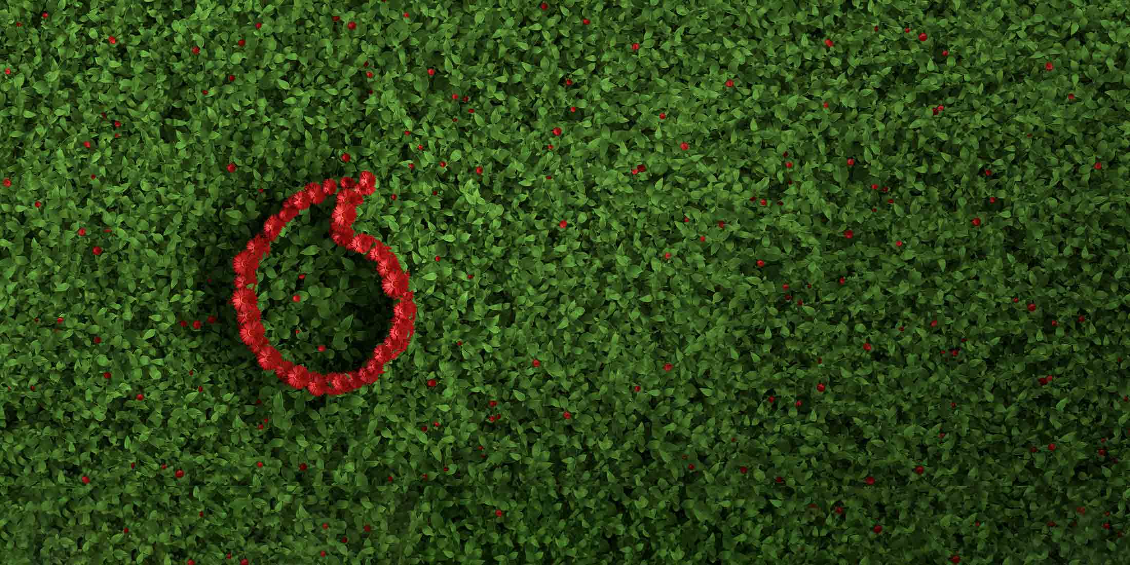 Προγράμματα | Vodafone.gr