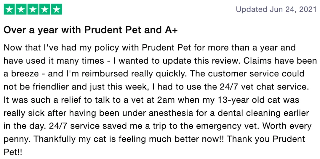 What does pet insurance cover and is it worth it? - Trustpilot Blog
