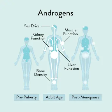 Ingredient Glossary | NEUTROGENA®