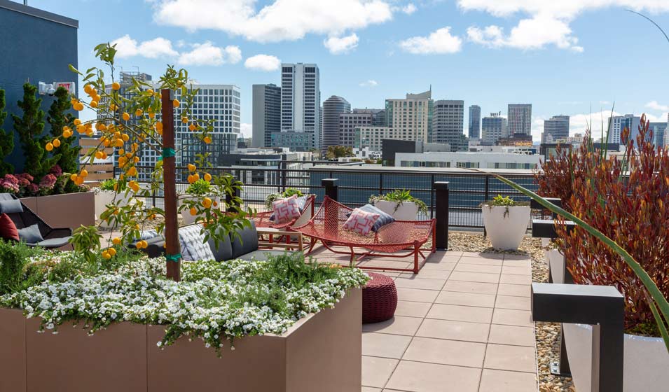 Quel aménagement pour faire d'un toit terrasse un véritable jardin ...