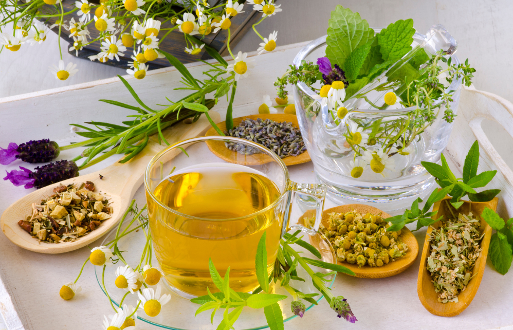 6 plantes du jardin parfaites à transformer en tisane - Jardiland