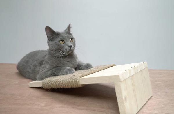 Créer un griffoir design pour son chat - Jardiland