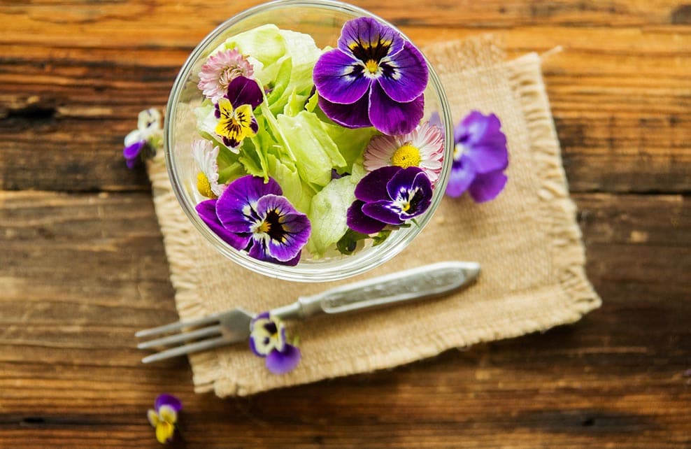10 fleurs comestibles au menu - Jardiland