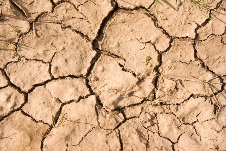 Comment savoir si mon sol est argileux ? - Gamm vert