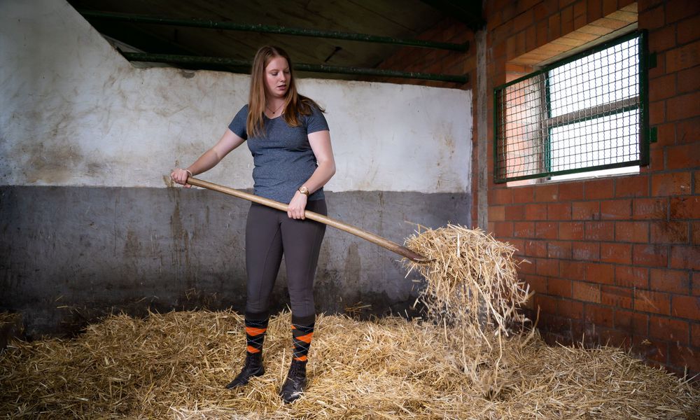 Comment préparer le box du cheval avant l'hiver ? - Gamm vert