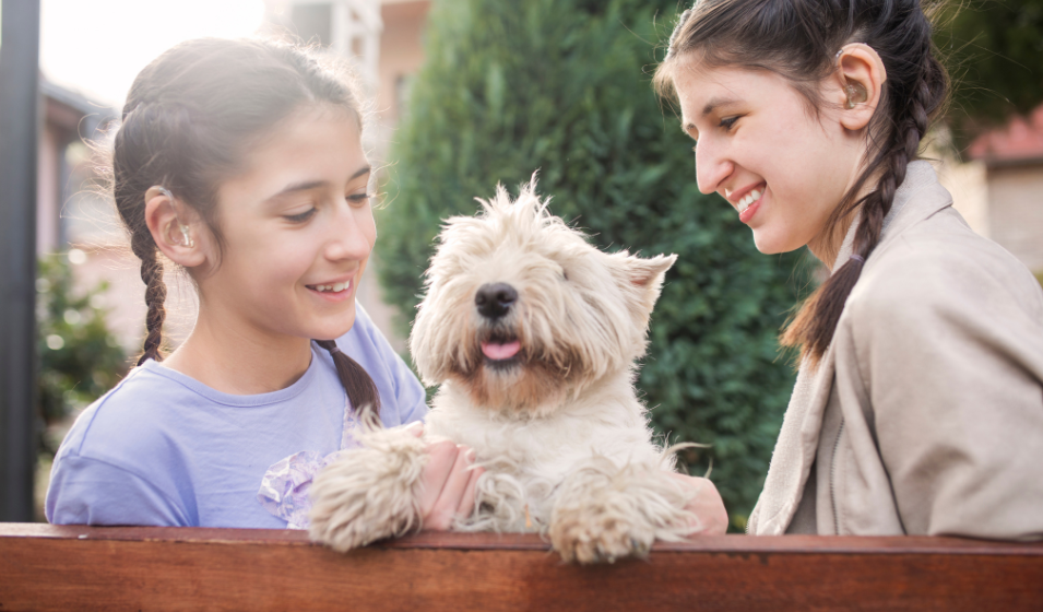 Descubre los 5 sentidos de tu perro - Jardiland