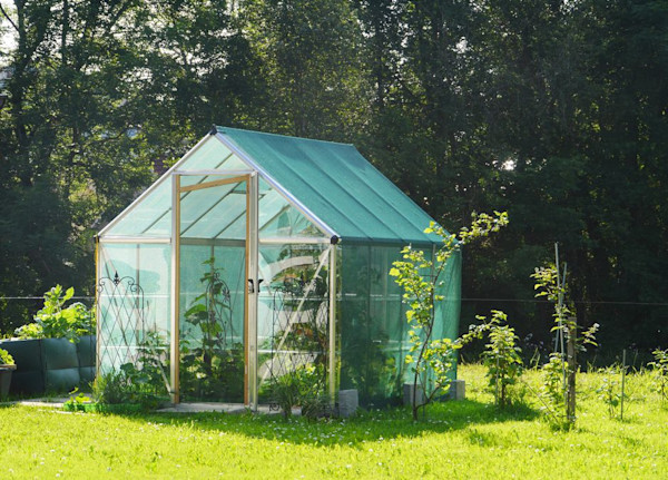 Quels sont les avantages d'une serre de jardin en acier ? - Gamm vert