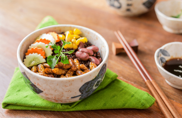 5 bonnes raisons d'intégrer les insectes à votre alimentation - Jardiland