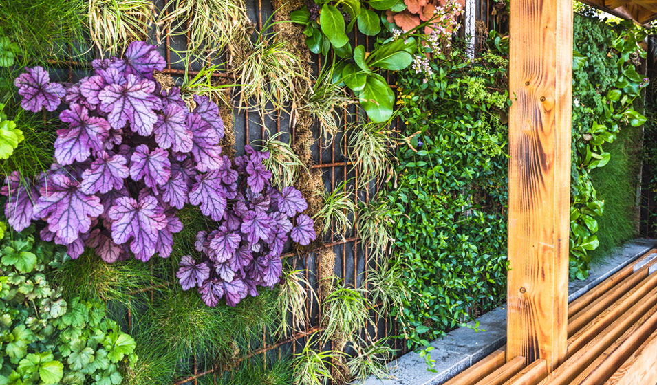 4 inspirations pour habiller le mur d'une terrasse - Jardiland