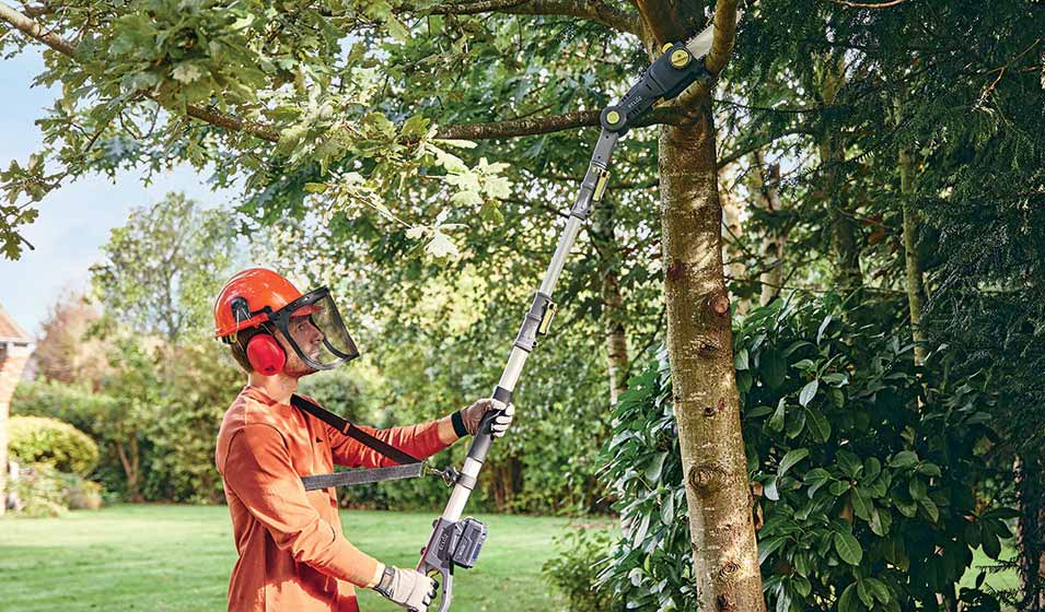 Comment couper des branches d’arbre en hauteur ? - Jardiland