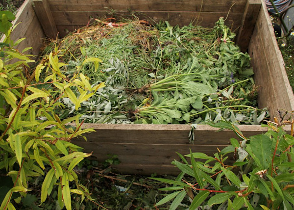 Compost trop humide : conseils et bonnes pratiques - Gamm vert