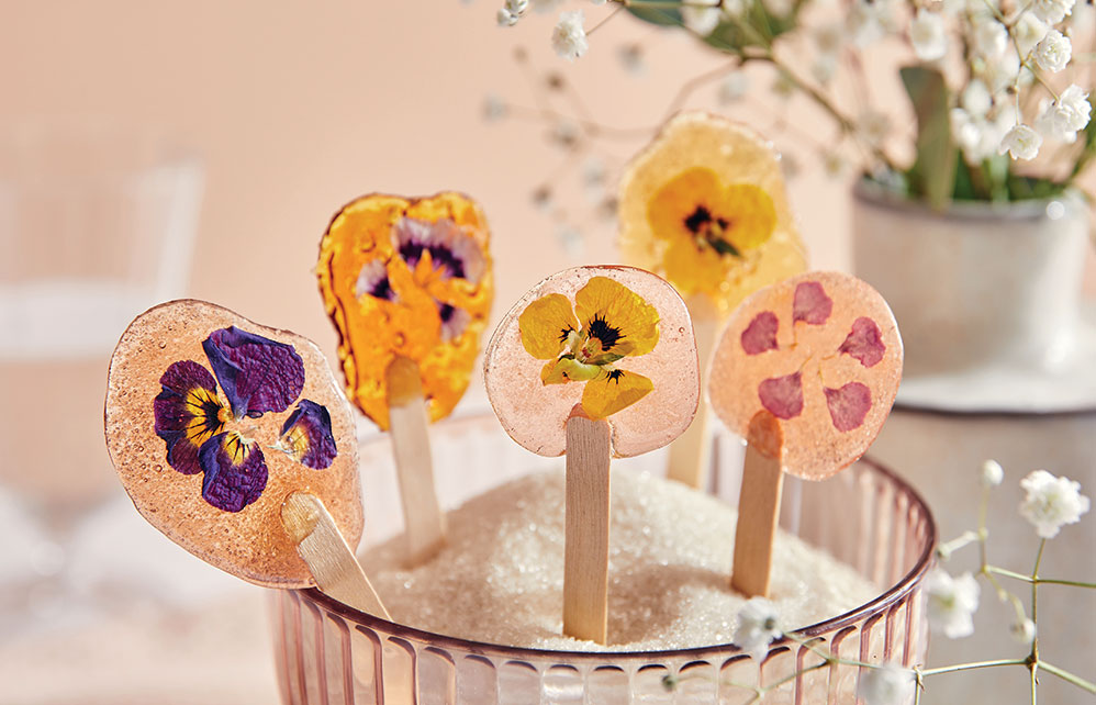 Réaliser des sucettes de fleurs comestibles - Jardiland