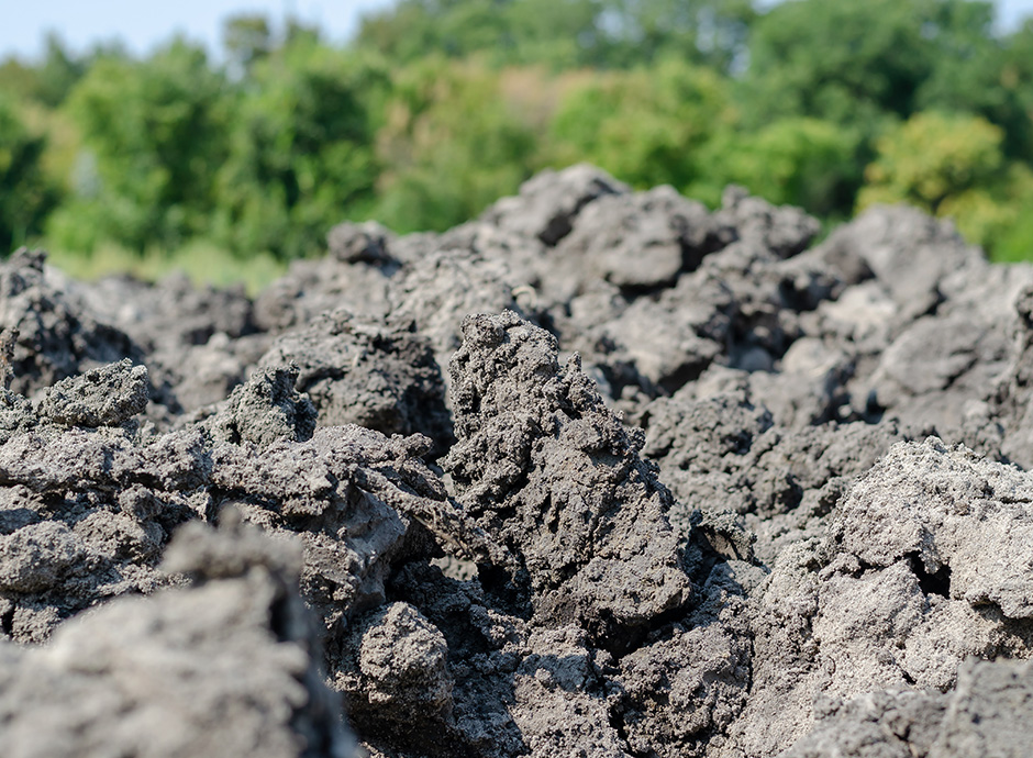 Limoneux - Gamm vert