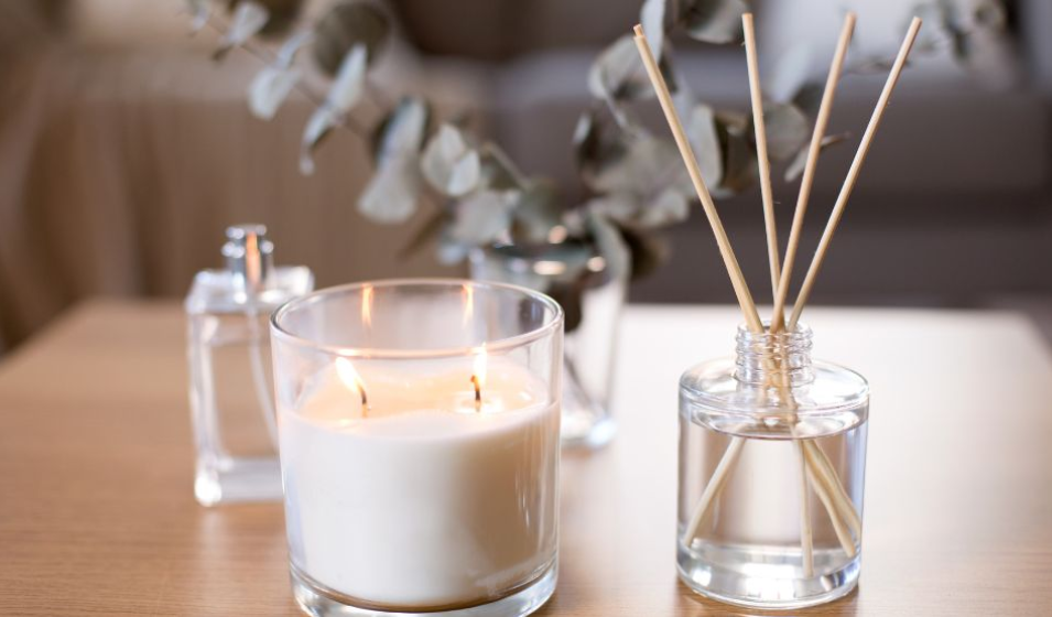 ¿Cómo perfumar tu hogar para un ambiente agradable? - Jardiland