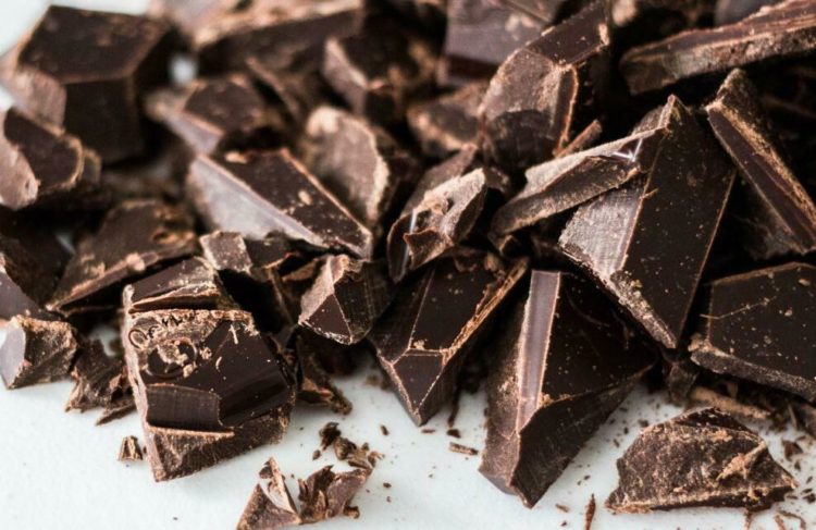 Top 5 des aliments gras qui vous veulent du bien - Jardiland