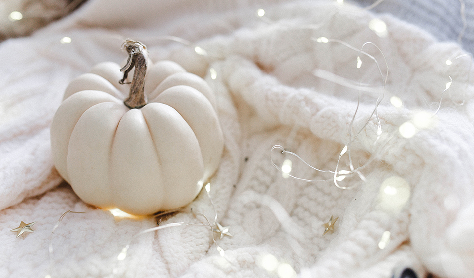 5 idées déco avec une citrouille d'Halloween - Jardiland